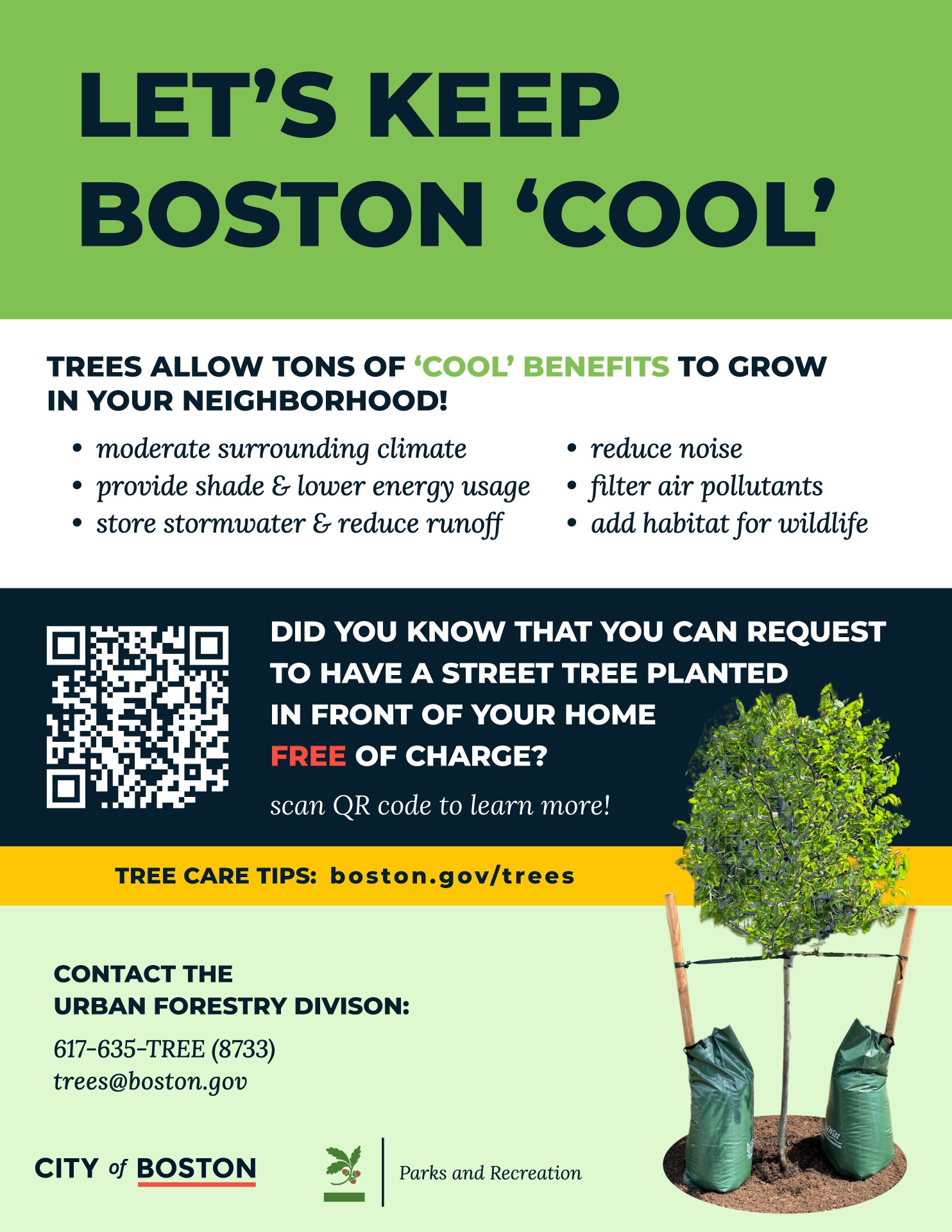 Urban Forestry | Boston.gov